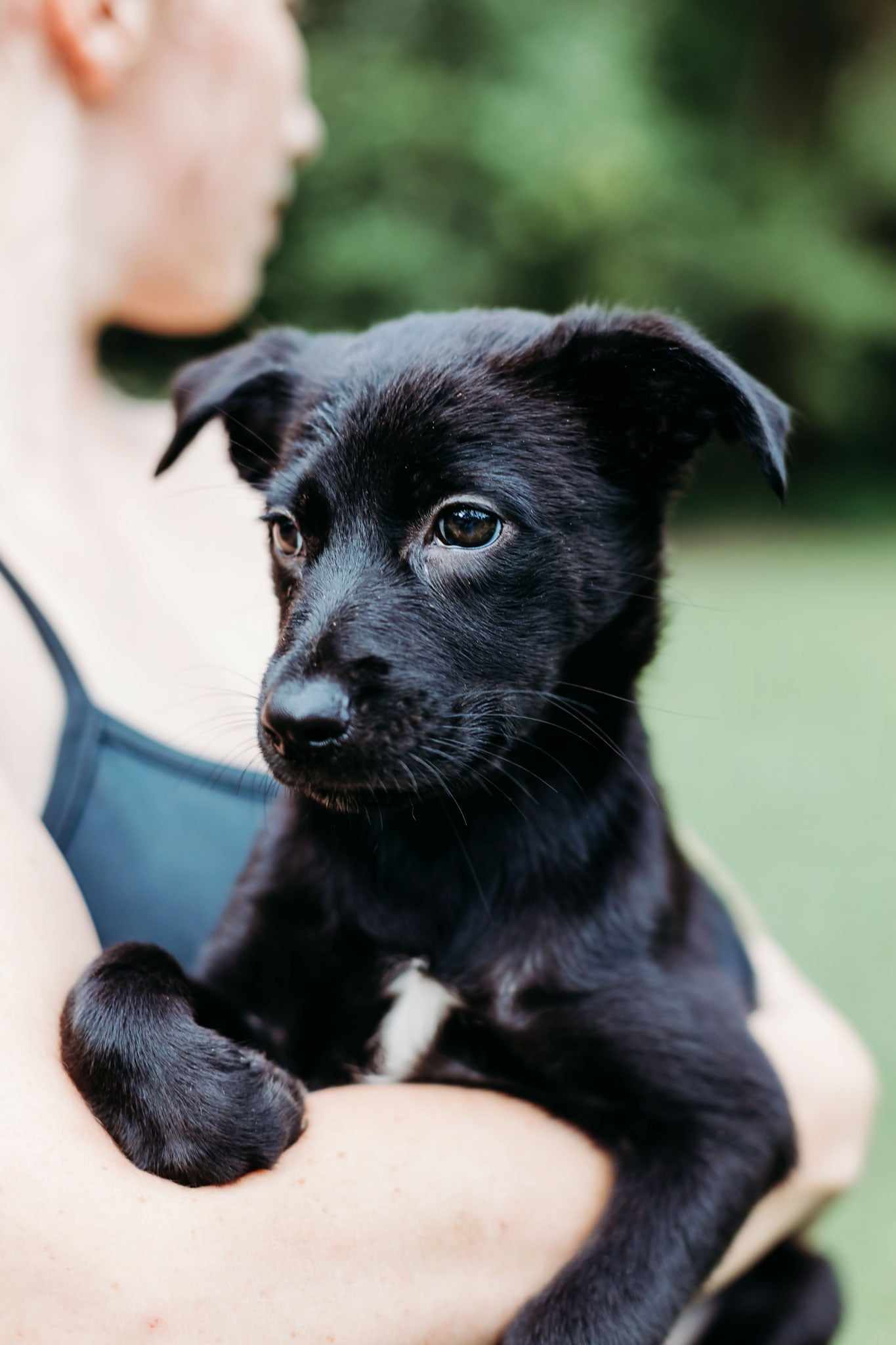 Donate to Soquilichi Rescue Ranch